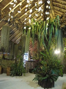 Heiva I Festival Guide For Travelers